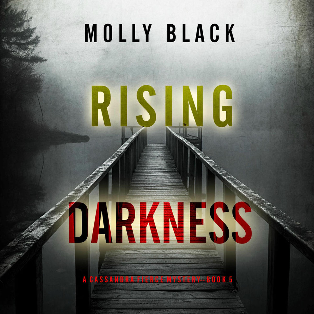 Rising Darkness (A Cassandra Fierce Suspense Thriller—Book Five) | RTL+