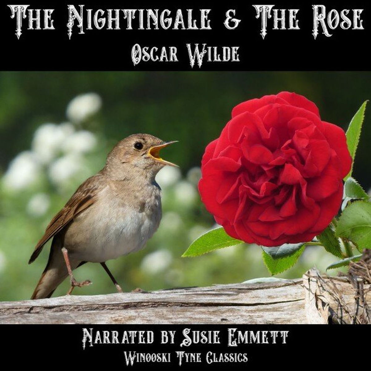 The Nightingale & the Rose | RTL+