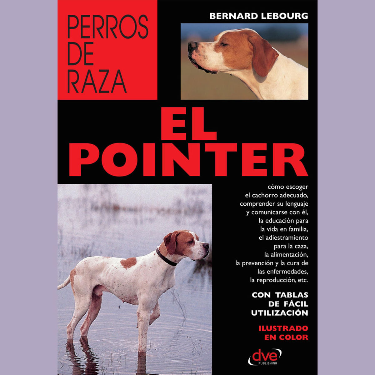 El pointer | RTL+