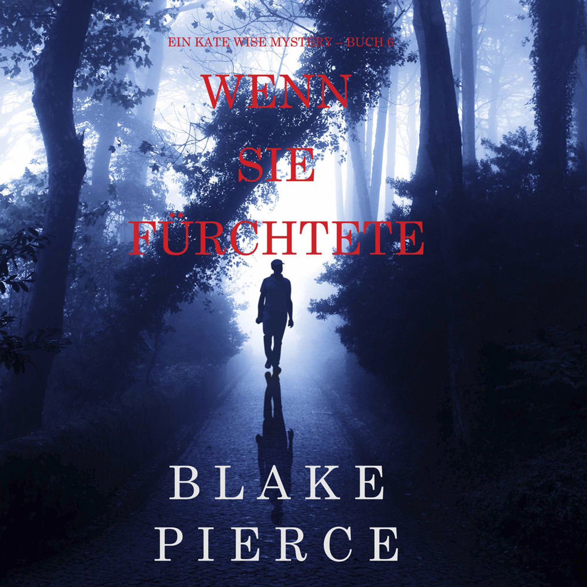 Wenn Sie Fürchtete (Ein Kate Wise Mystery – Buch 6) | RTL+