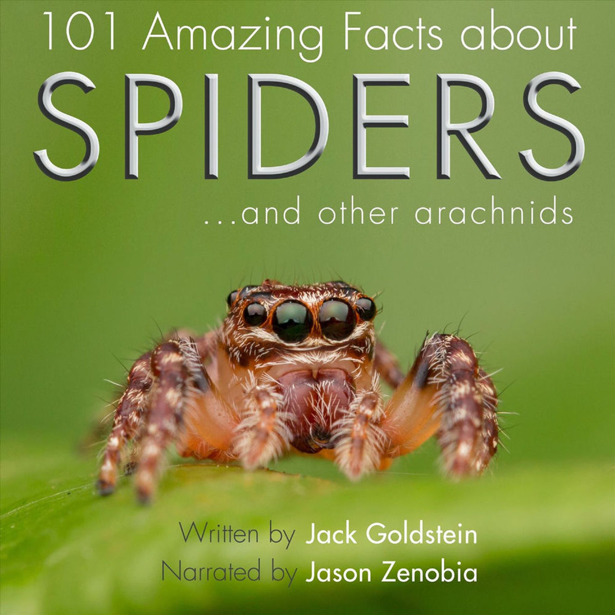 101 Amazing Facts about Spiders ...and other arachnids | RTL+