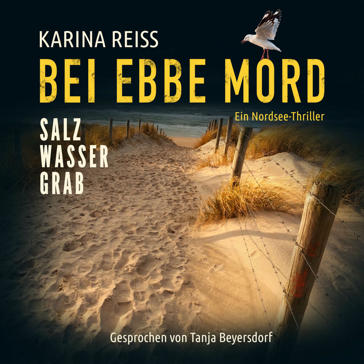 Bei Ebbe Mord - Salzwassergrab: Ein Nordsee-Thriller | Der 1. Fall für ...