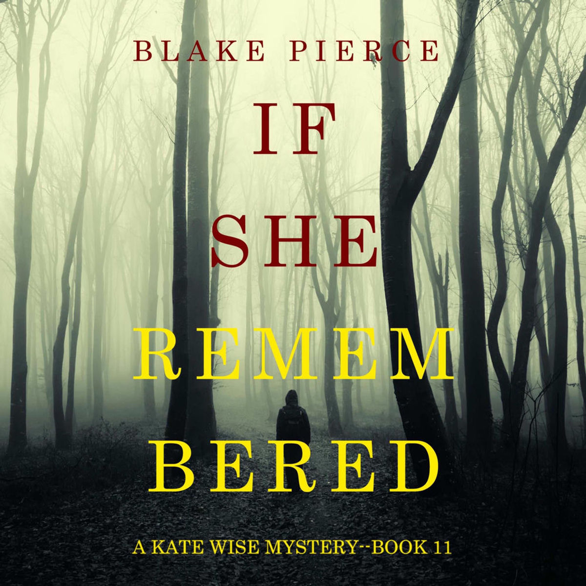 If She Remembered (A Kate Wise Mystery—Book 11) | RTL+
