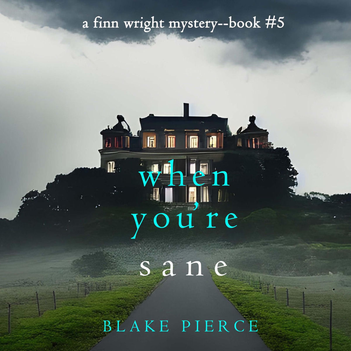 When You're Sane (A Finn Wright FBI Mystery—Book Five) | RTL+