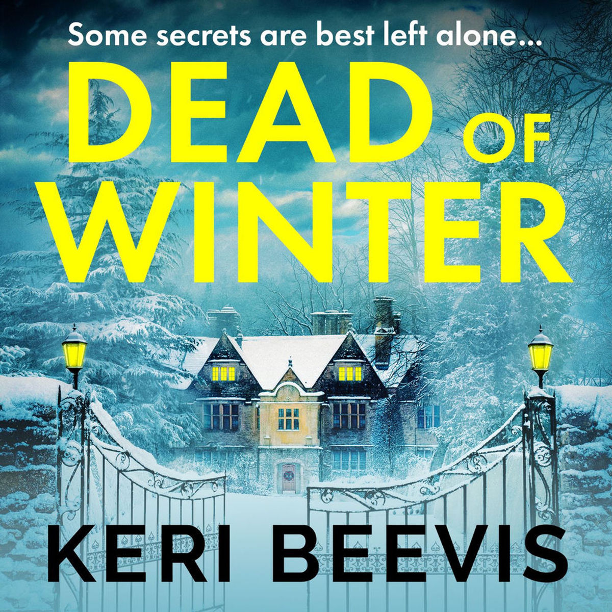 Dead of Winter - A BRAND NEW heart-stopping psychological thriller from ...