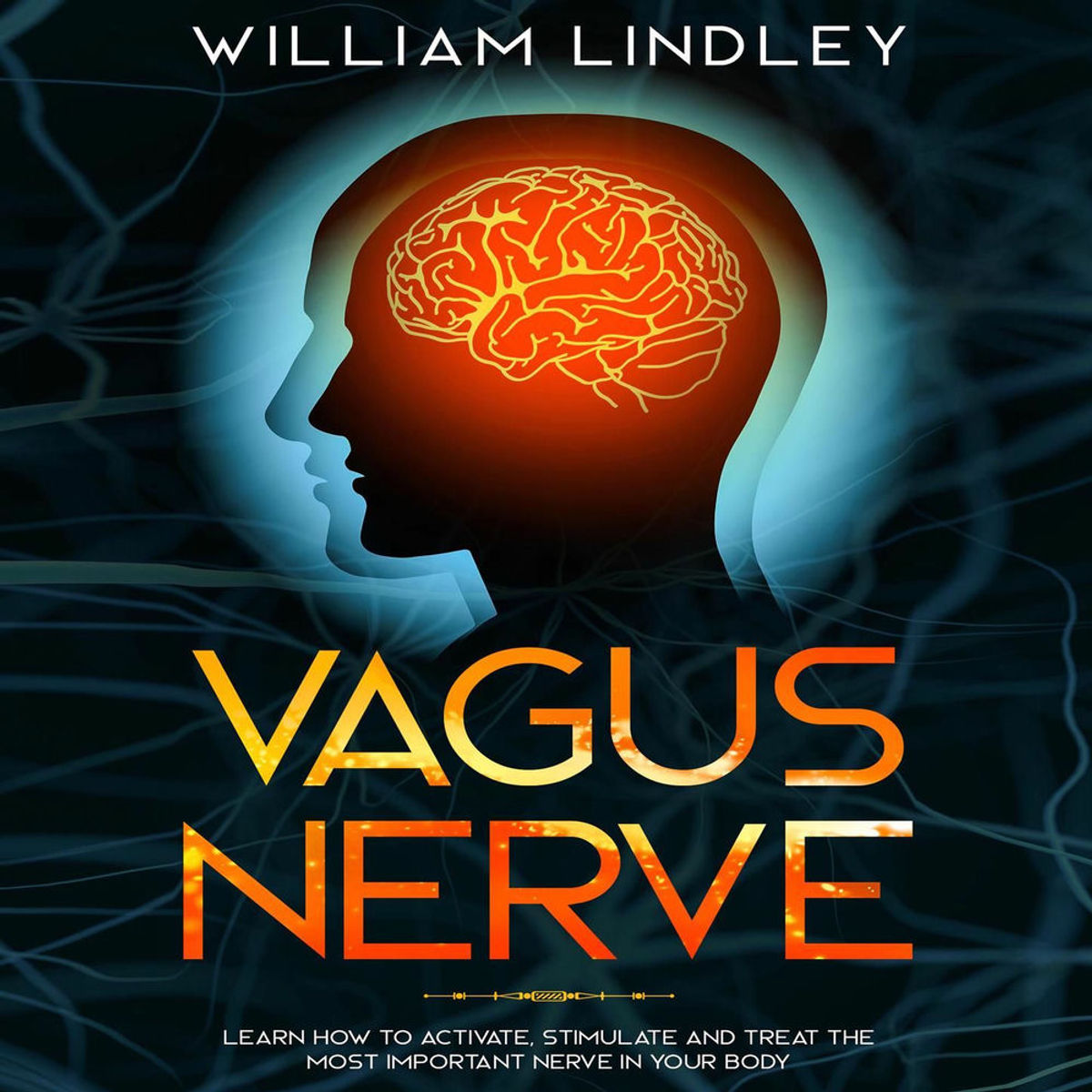 Vagus Nerve - Learn How to Activate, Stimulate and Treat the Most ...