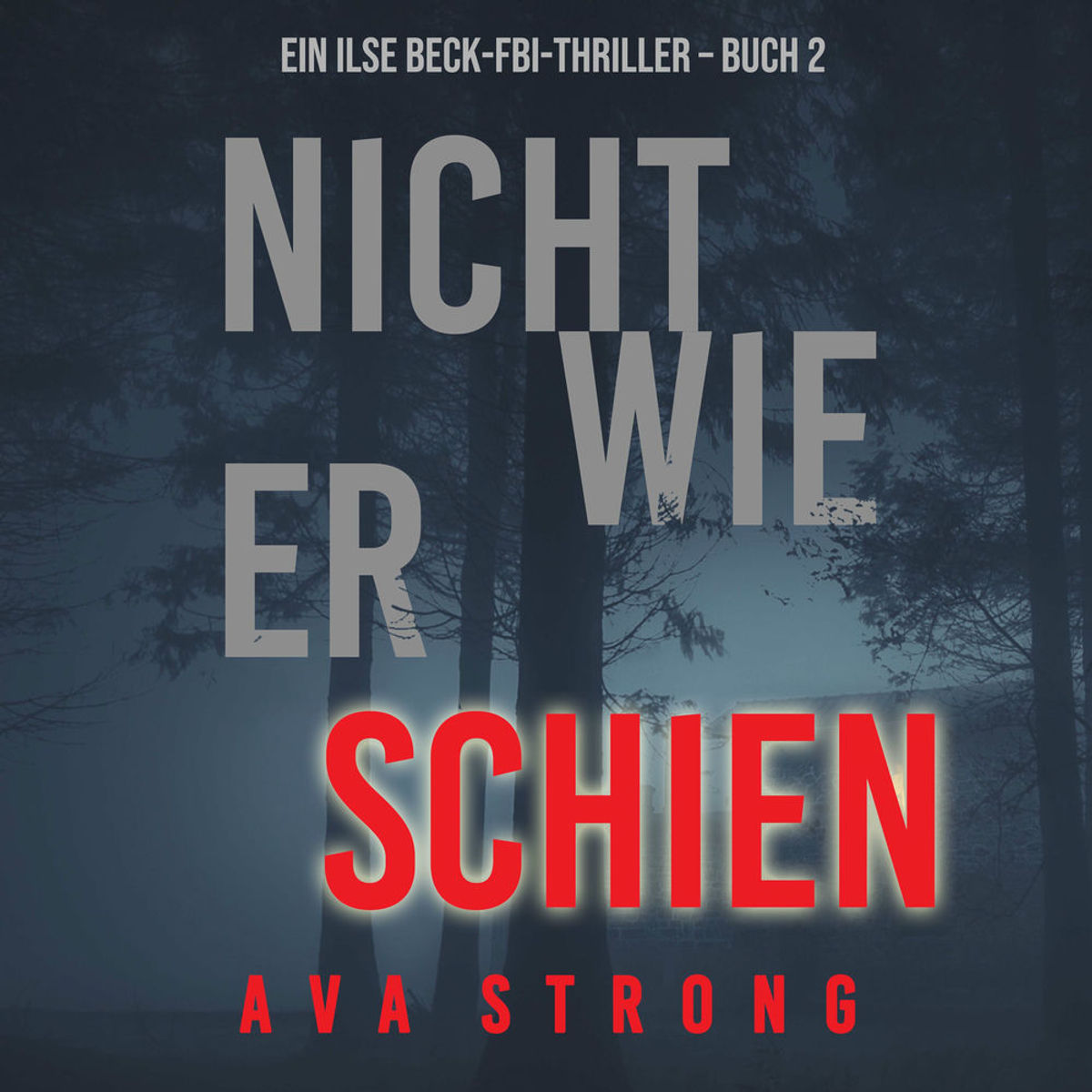 Nicht wie er schien (Ein Ilse Beck-FBI-Thriller – Buch 2) | RTL+