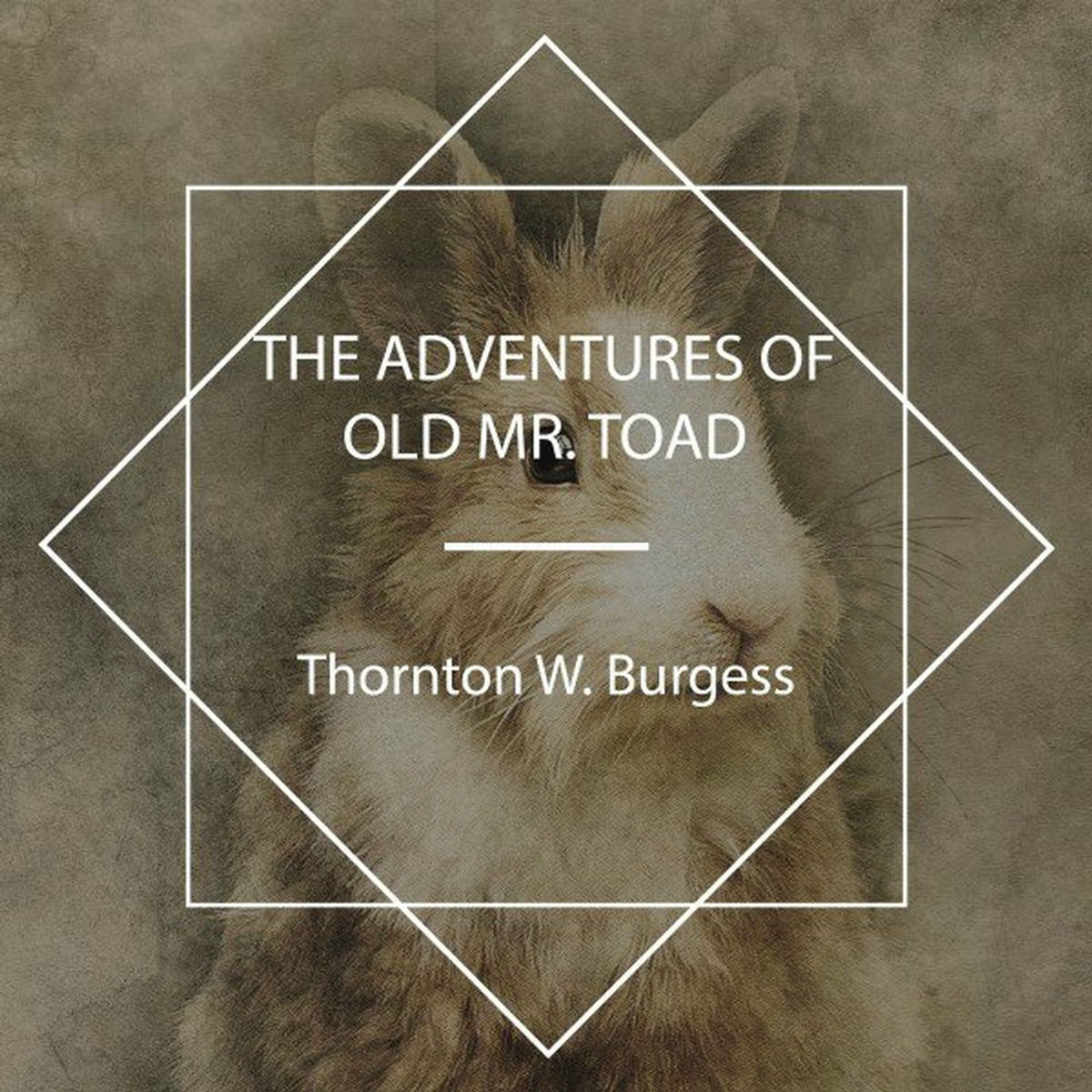 The Adventures of Old Mr. Toad | RTL+