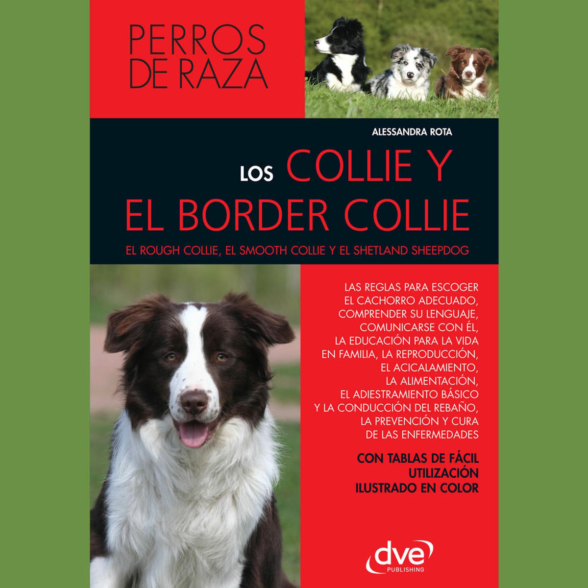 Los collie y el border collie | RTL+