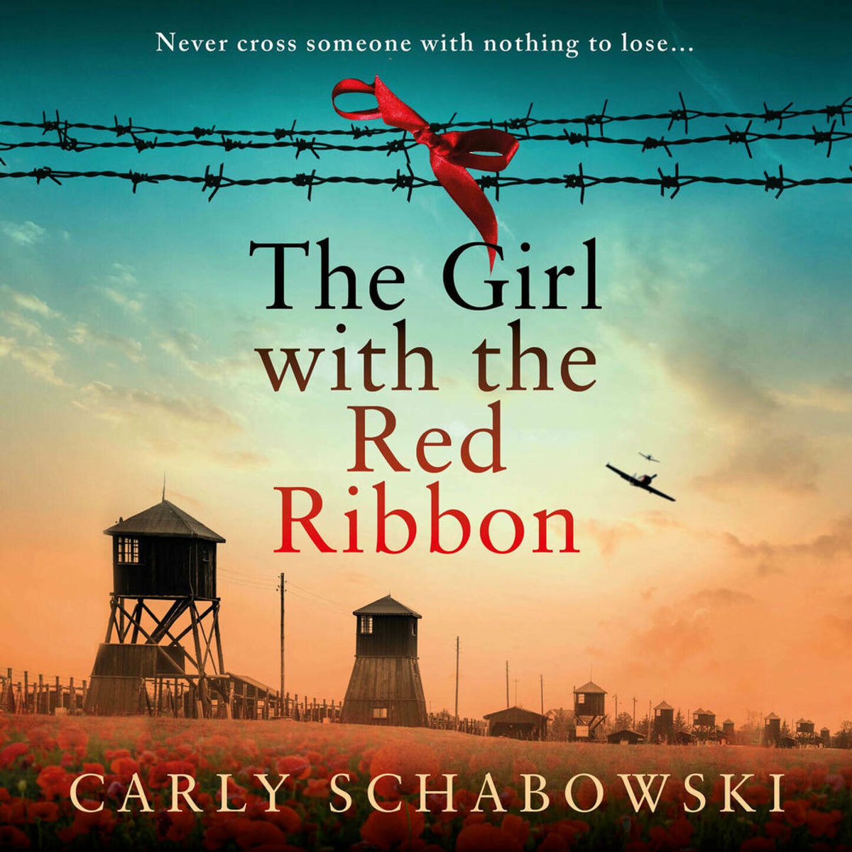 Girl with the Red Ribbon - BRAND NEW unforgettable historical fiction ...