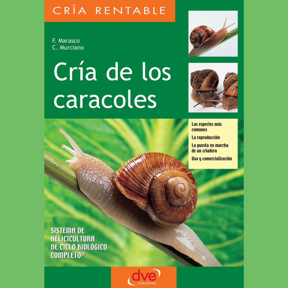 Cría de los caracoles. Las especies más comunes, la reproducción, la ...