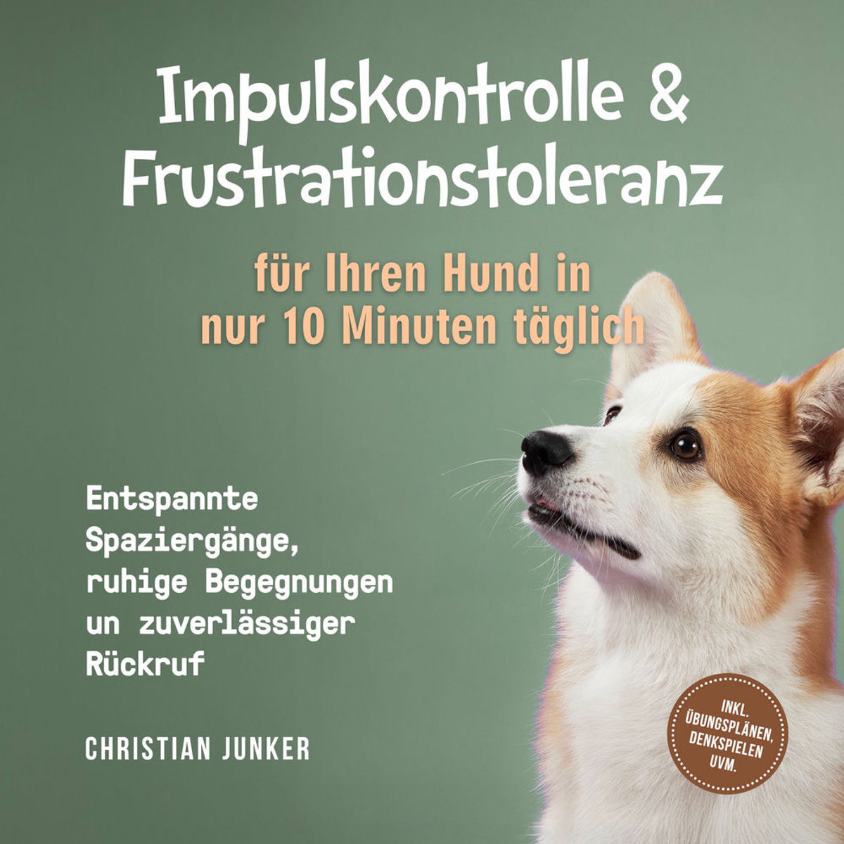 Impulskontrolle & Frustrationstoleranz für Ihren Hund in nur 10 Minuten ...