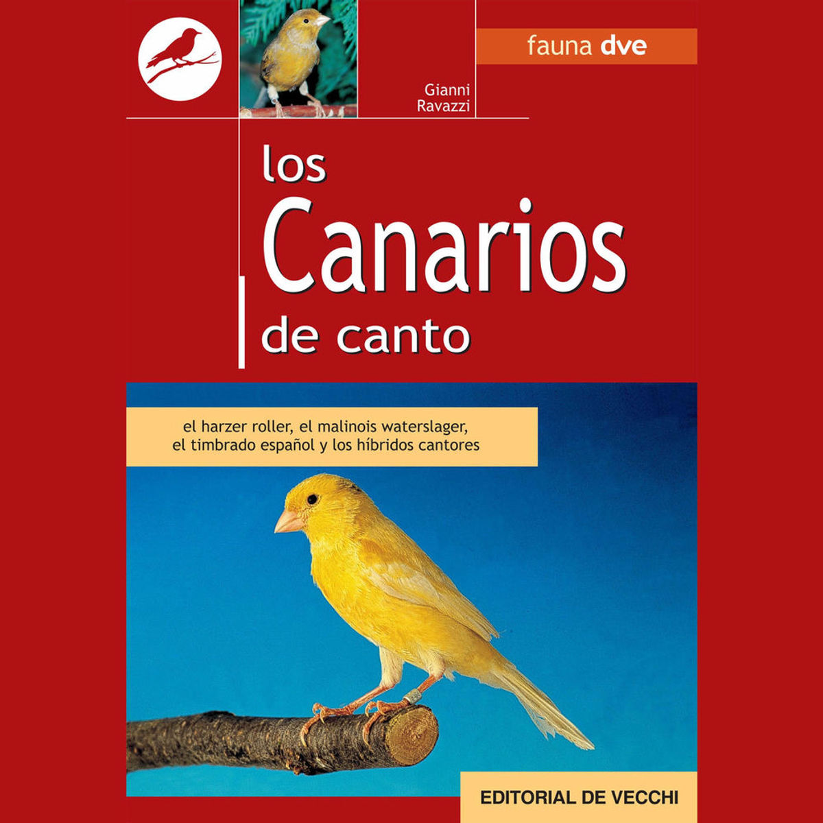 Los canarios de canto | RTL+