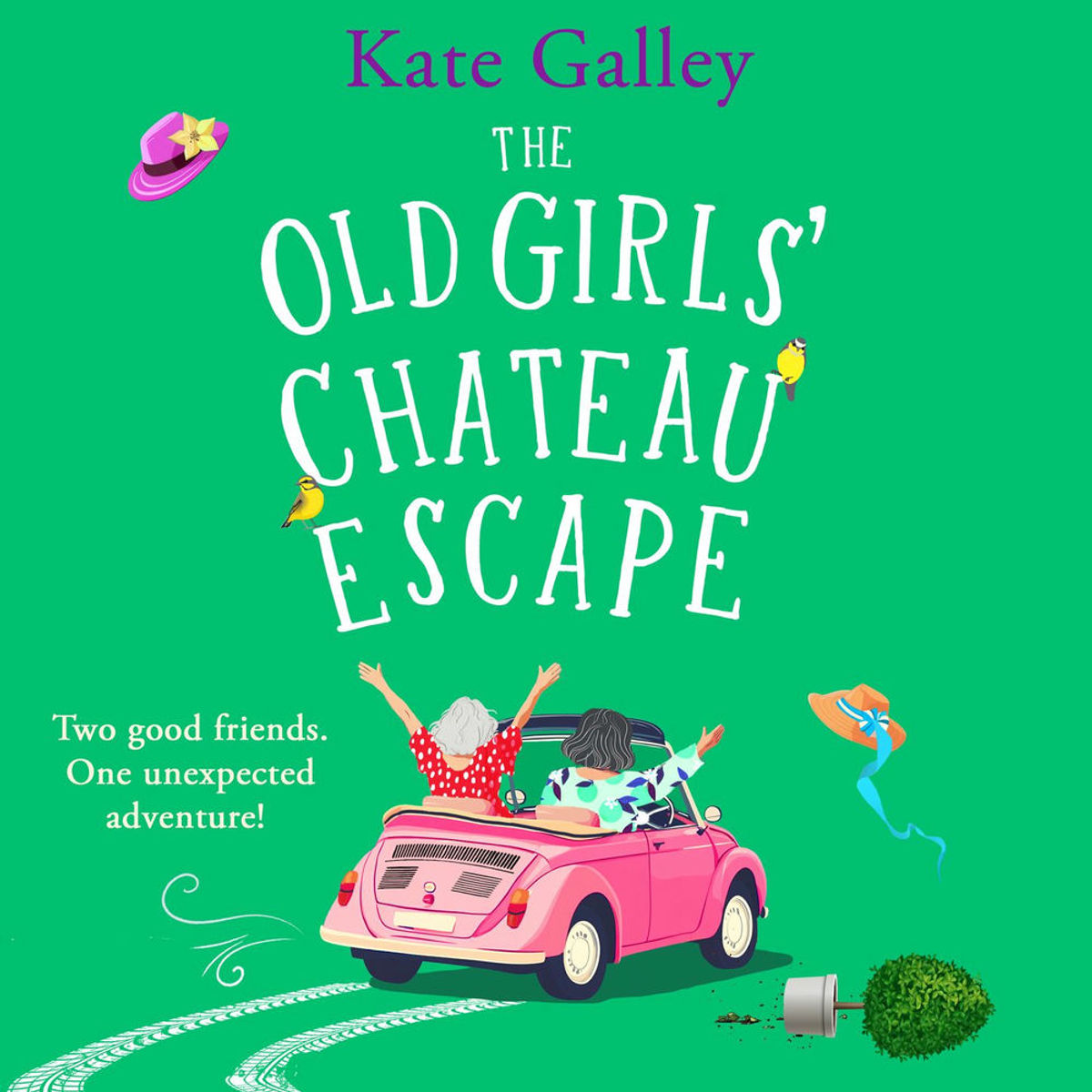 The Old Girls' Chateau Escape - Age is just a number! A BRAND NEW ...