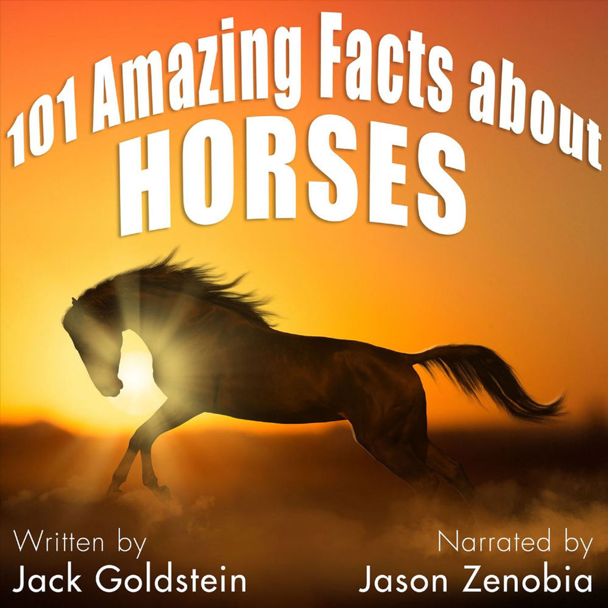 101 Amazing Facts about Horses | RTL+