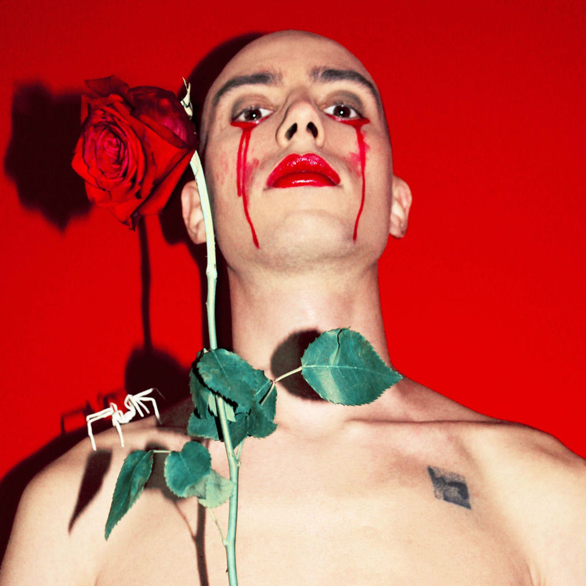 Umbraid Songs streamen | RTL+