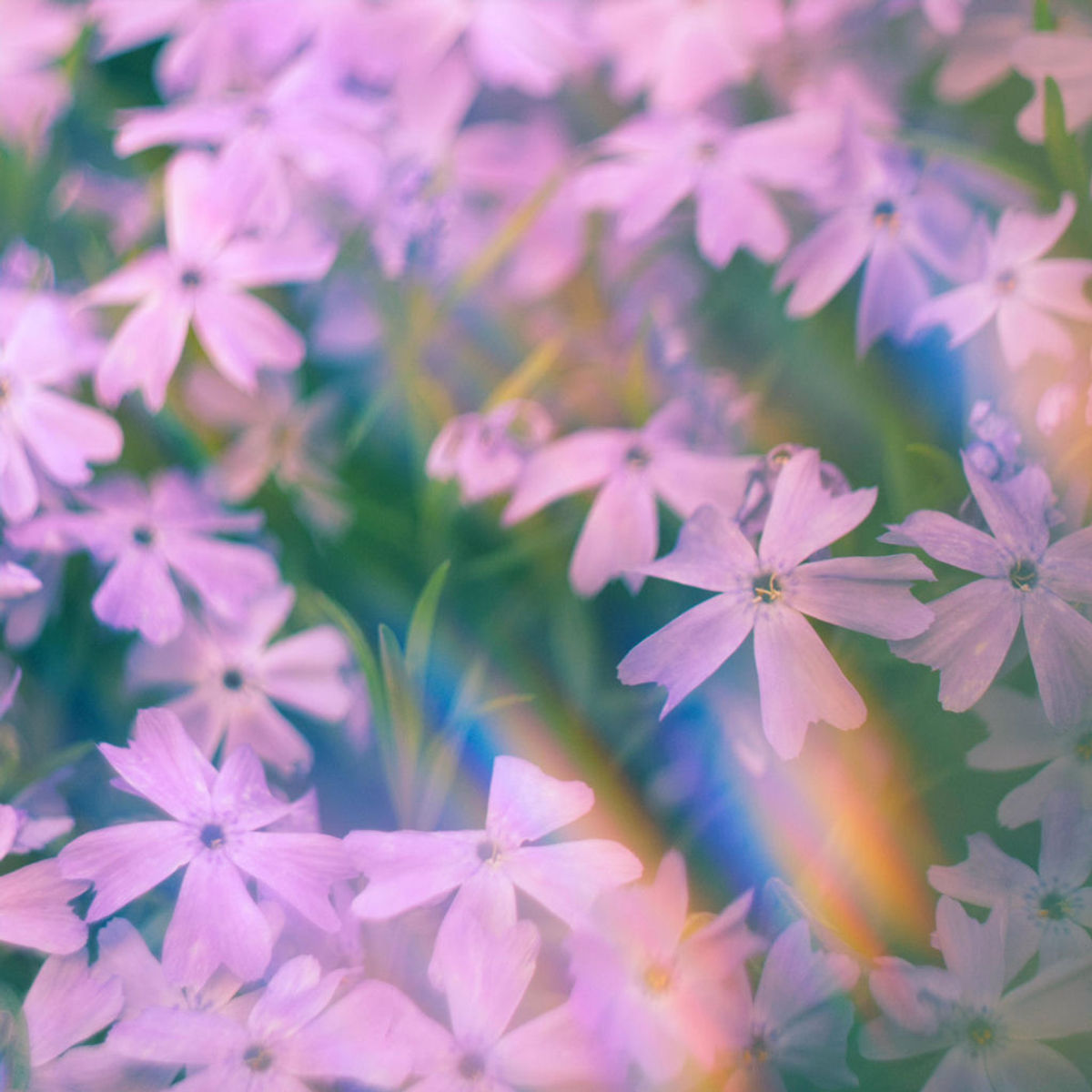 Liam Thomas Songs streamen | RTL+