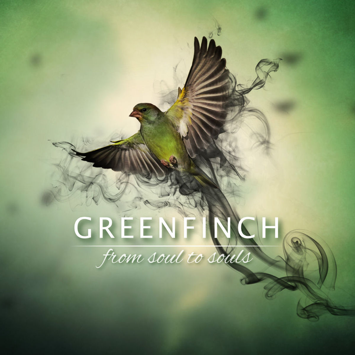 Greenfinch Songs streamen | RTL+