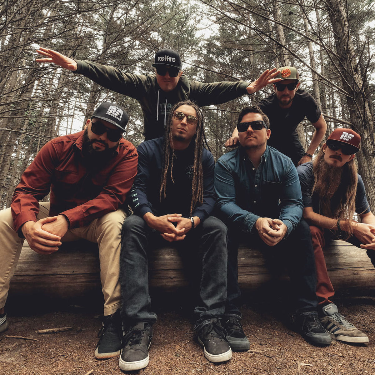 The Elovaters Songs streamen | RTL+