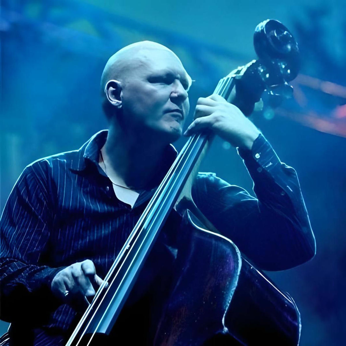 Dan Berglund Songs streamen | RTL+