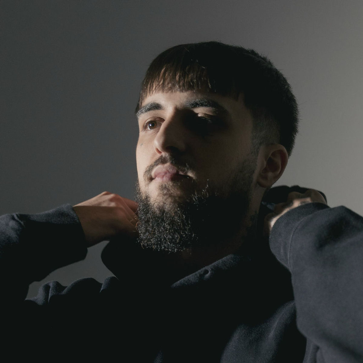 Emil TRF Songs streamen | RTL+