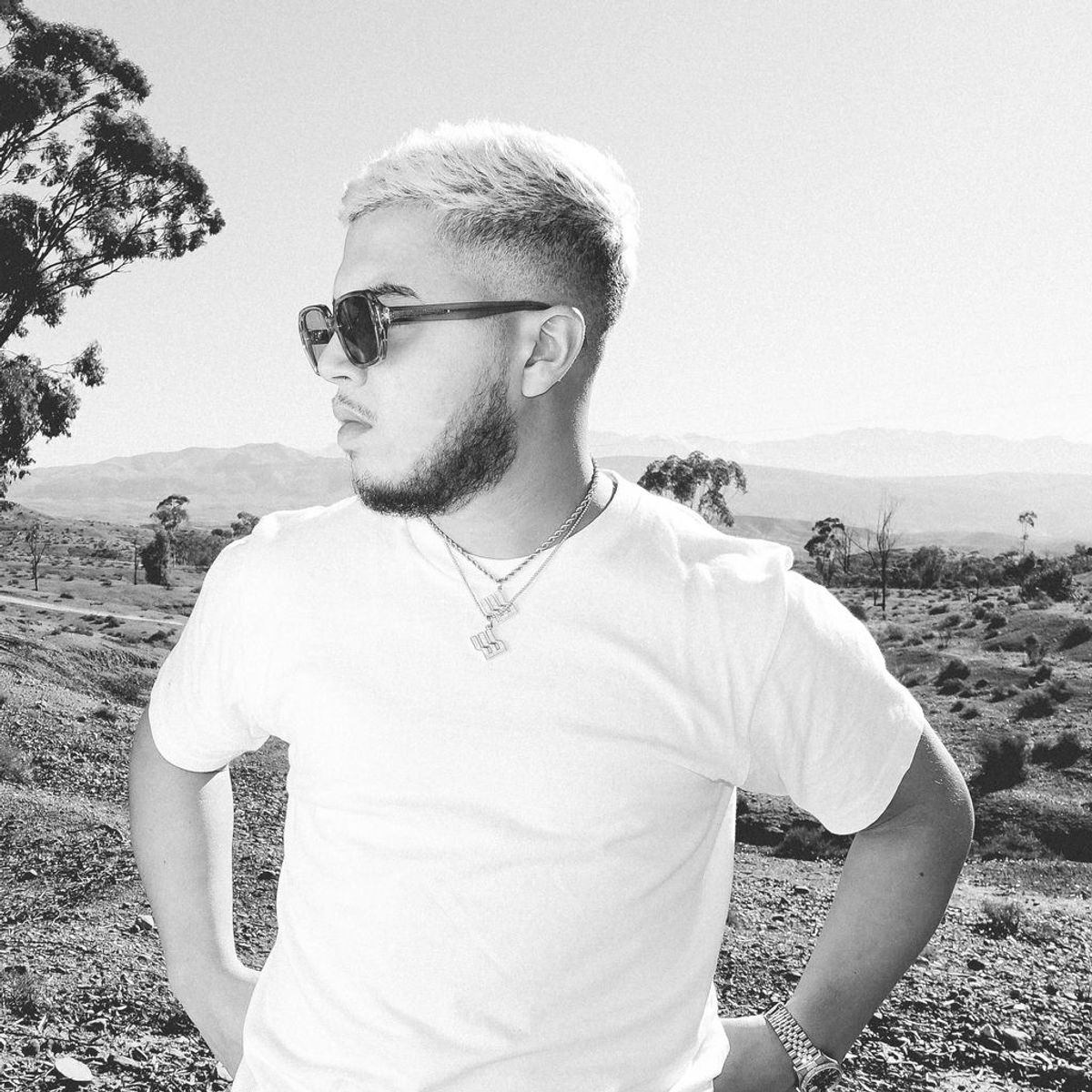 Hamza Songs streamen | RTL+