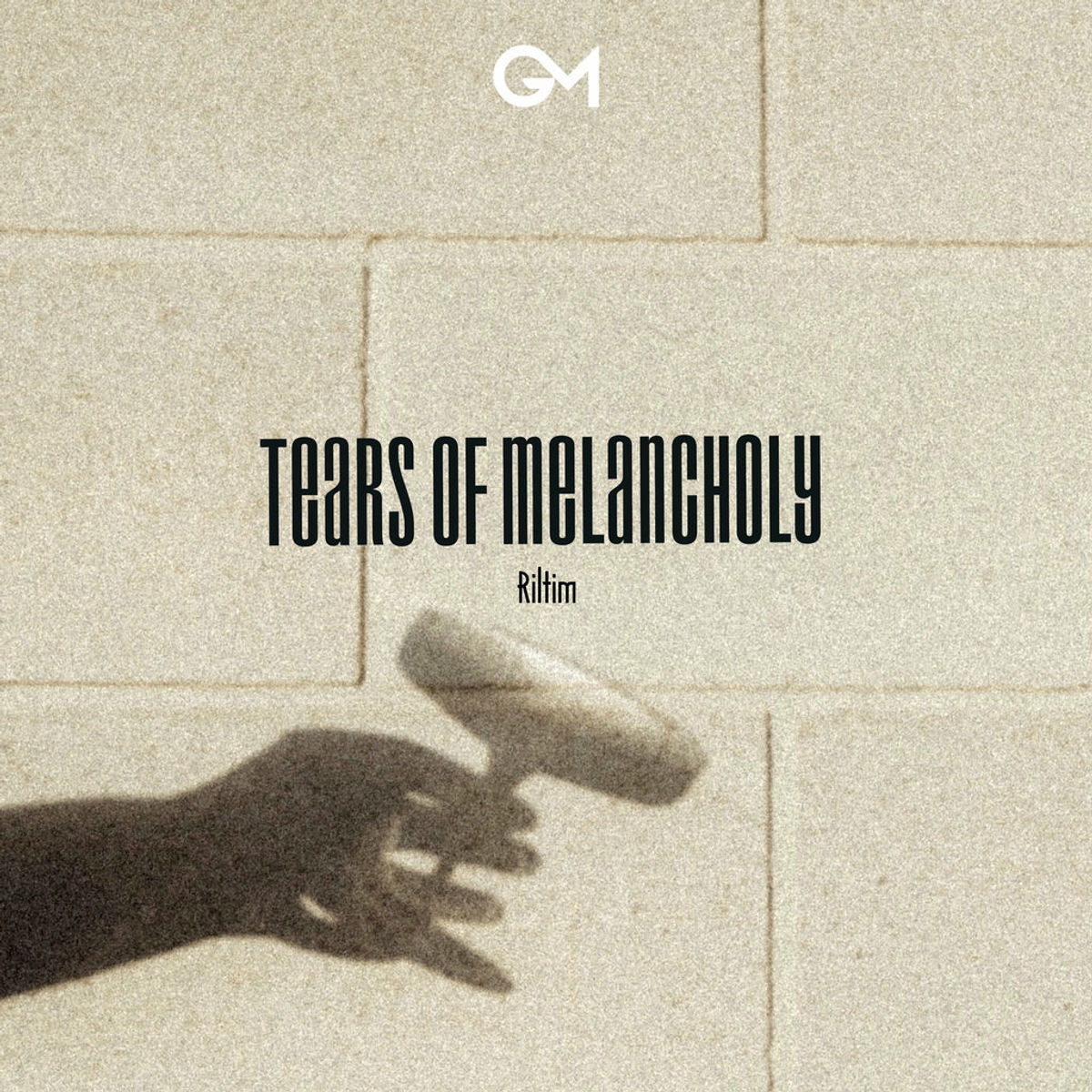 RILTIM Songs streamen | RTL+