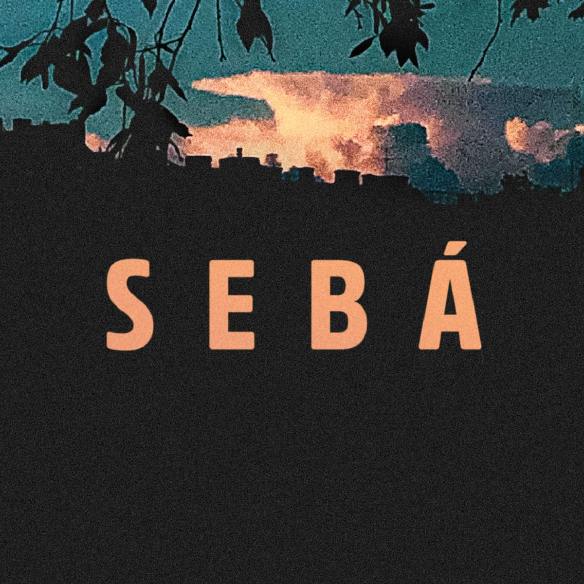 Seba Songs streamen | RTL+