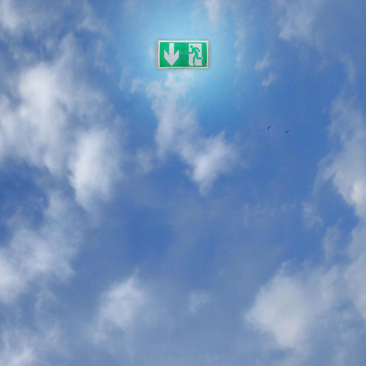 Angsty Camboyz Revenge Songs streamen | RTL+