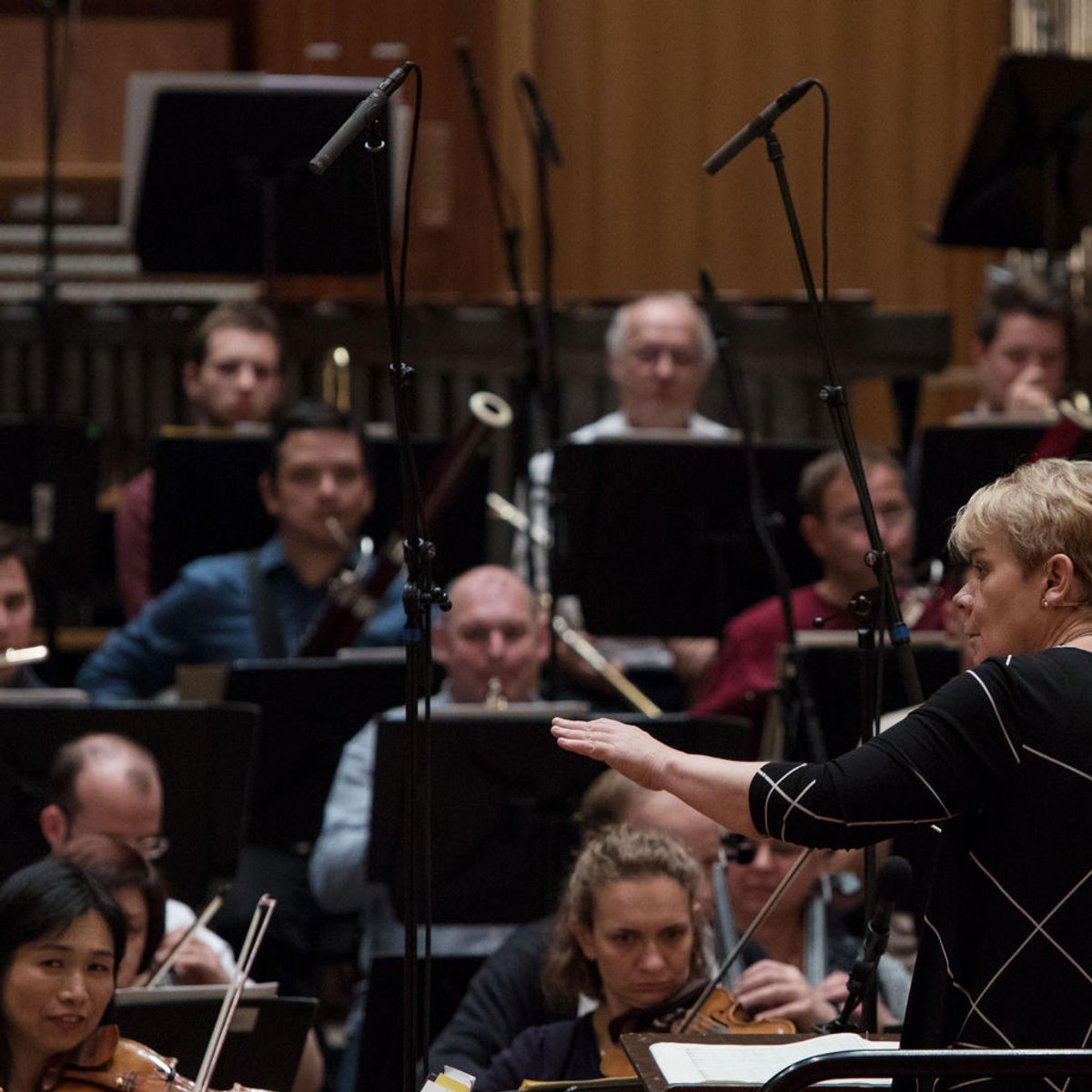 Vienna Radio Symphony Orchestra Songs streamen | RTL+