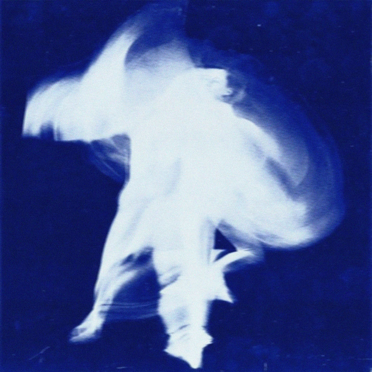 Blackmill Songs streamen | RTL+