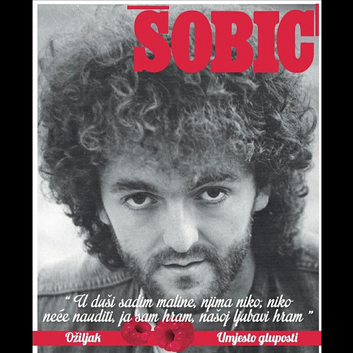 Miladin Sobic Songs streamen | RTL+