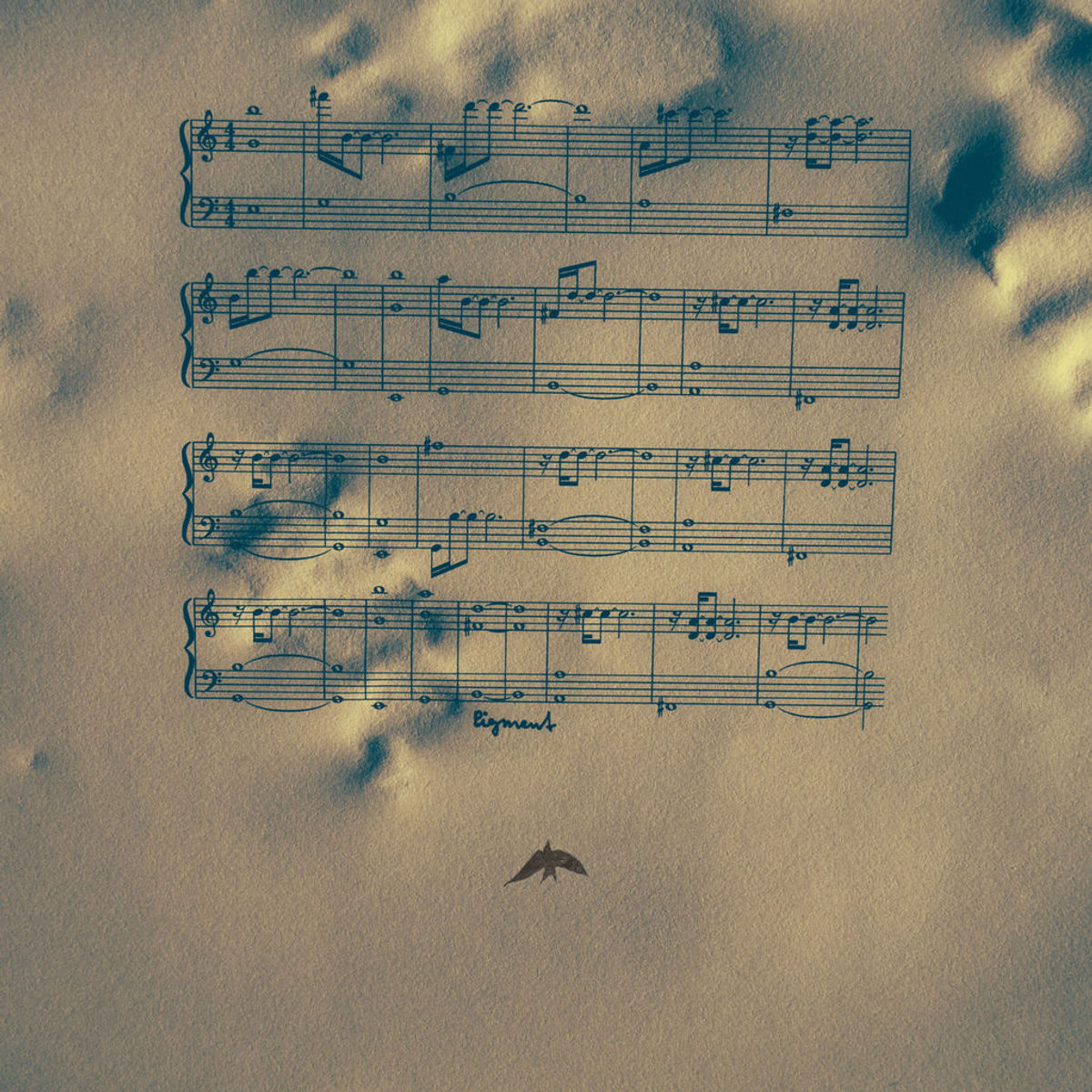 Parra For Cuva Songs streamen | RTL+