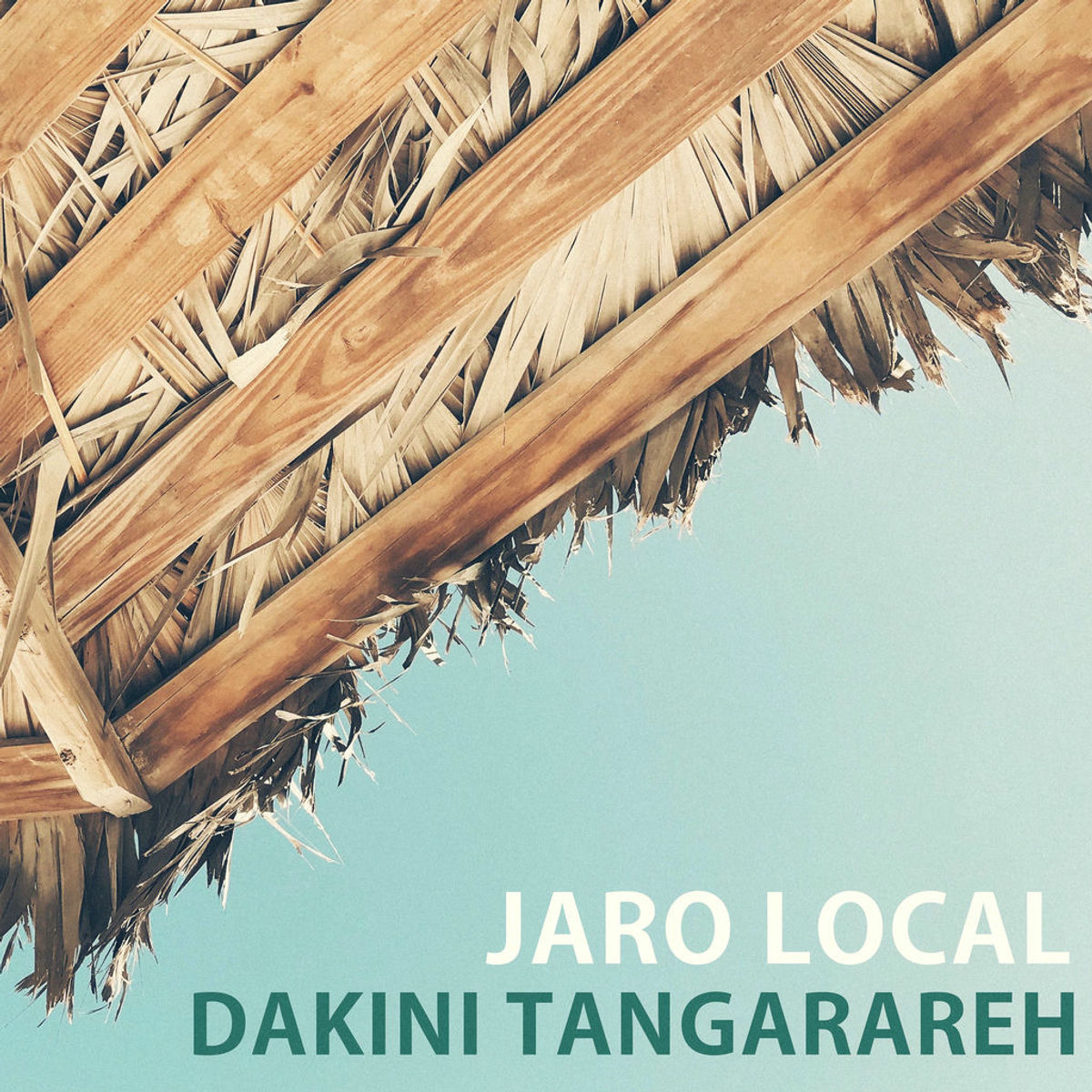 Jaro Local Songs streamen | RTL+