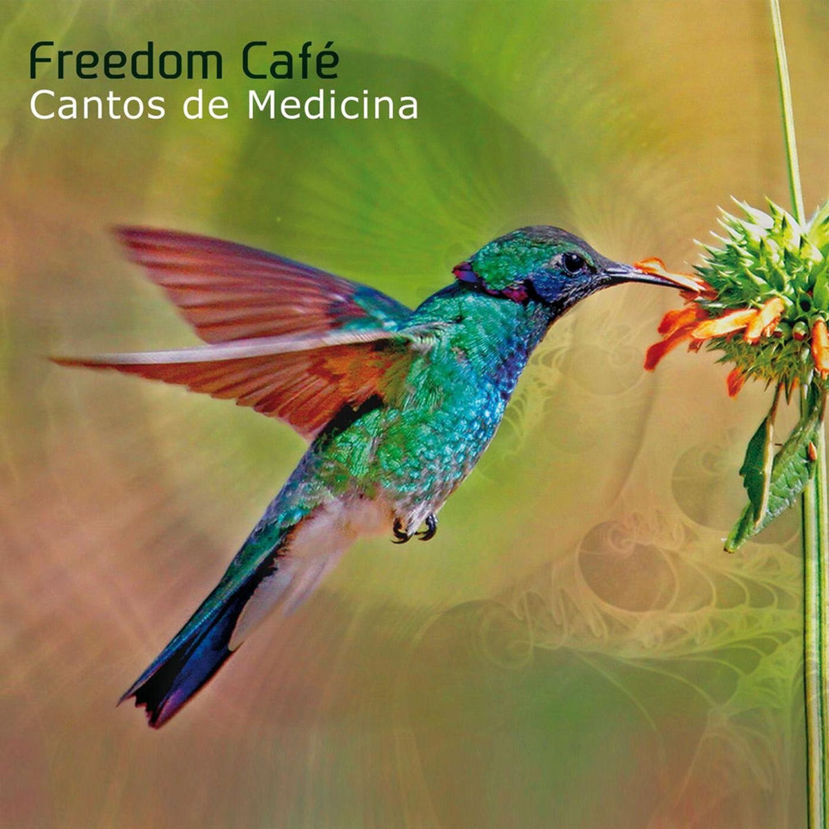 Freedom Café Songs streamen | RTL+
