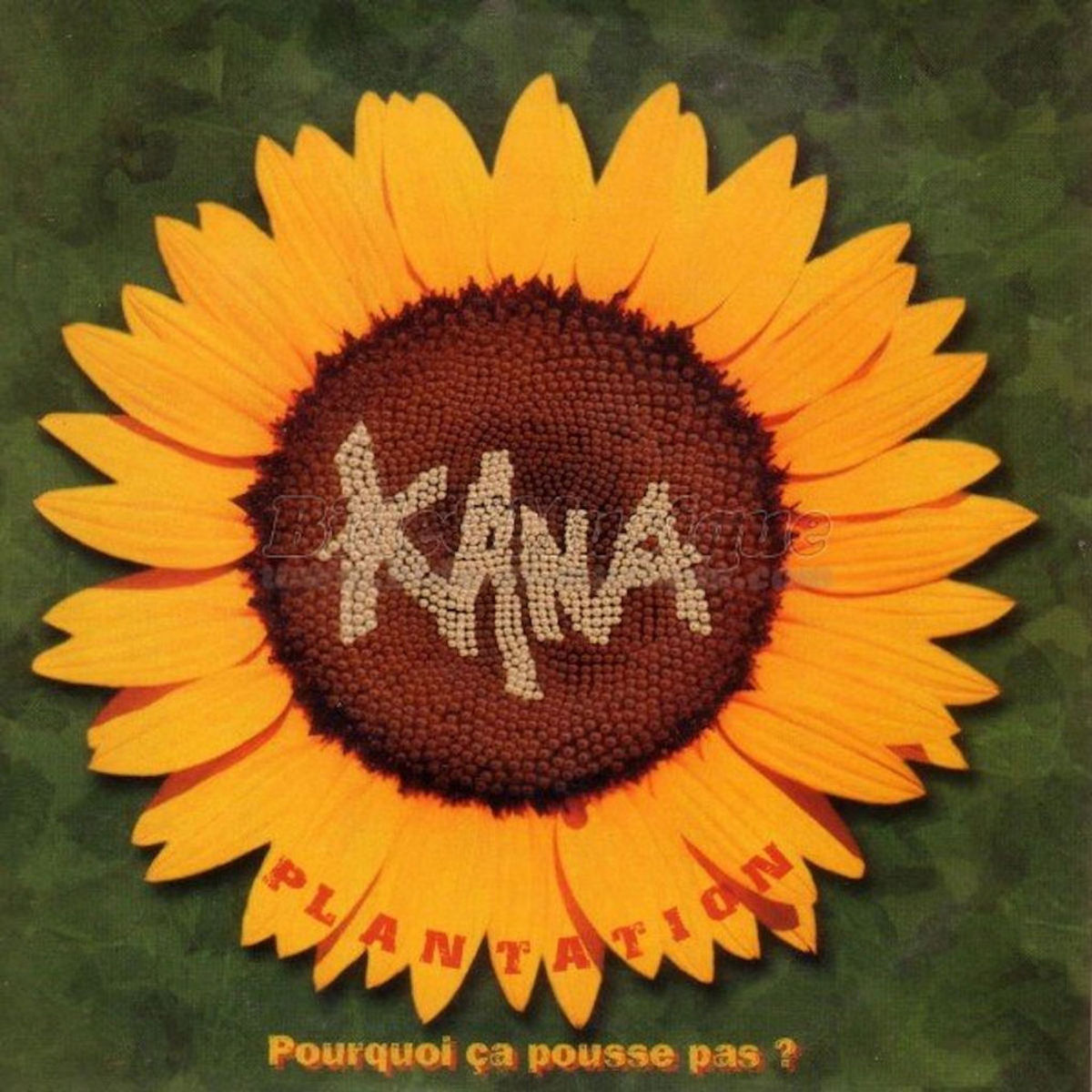 Kana Songs streamen | RTL+