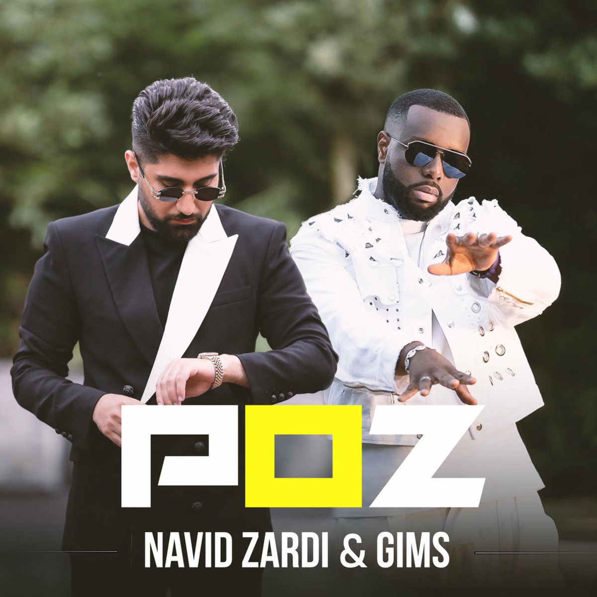 Navid Zardi Songs streamen | RTL+