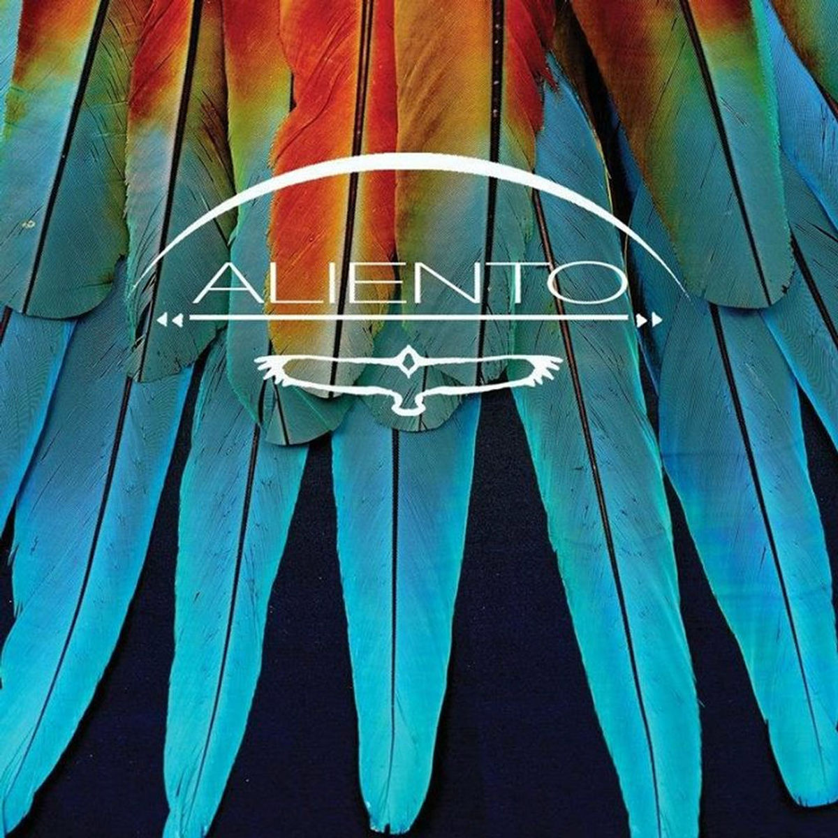 Danit Songs streamen | RTL+