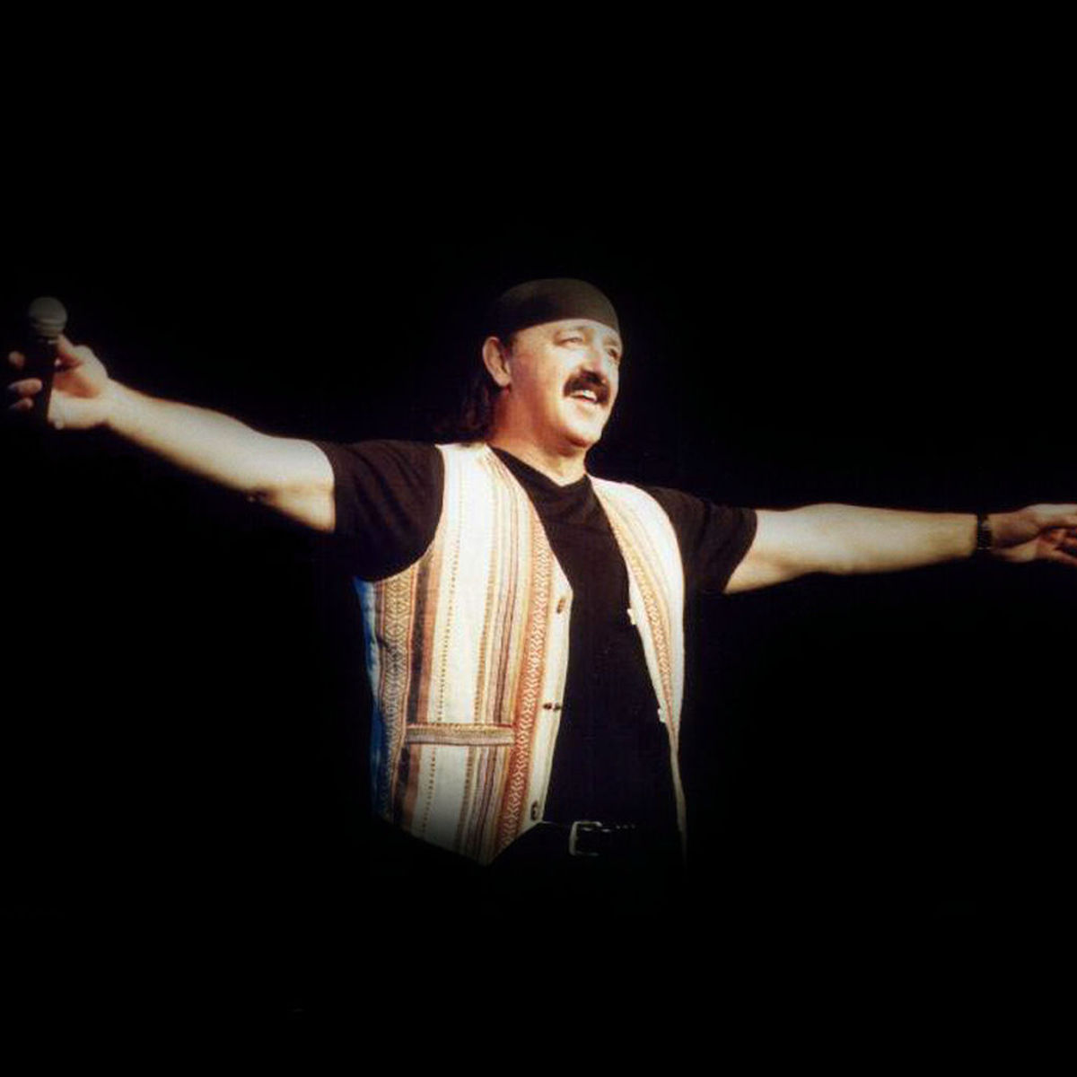 Haris Dzinovic Songs streamen | RTL+