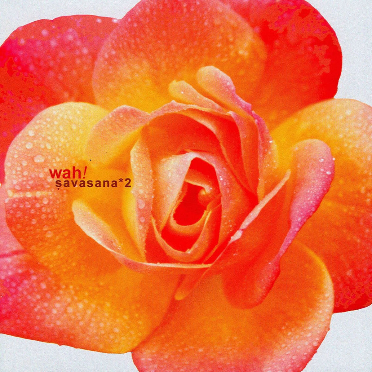 Wah! Songs streamen | RTL+
