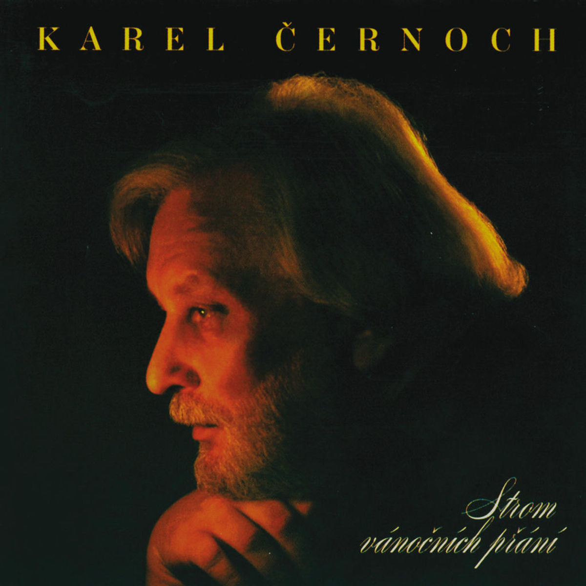 Karel Cernoch Songs streamen | RTL+