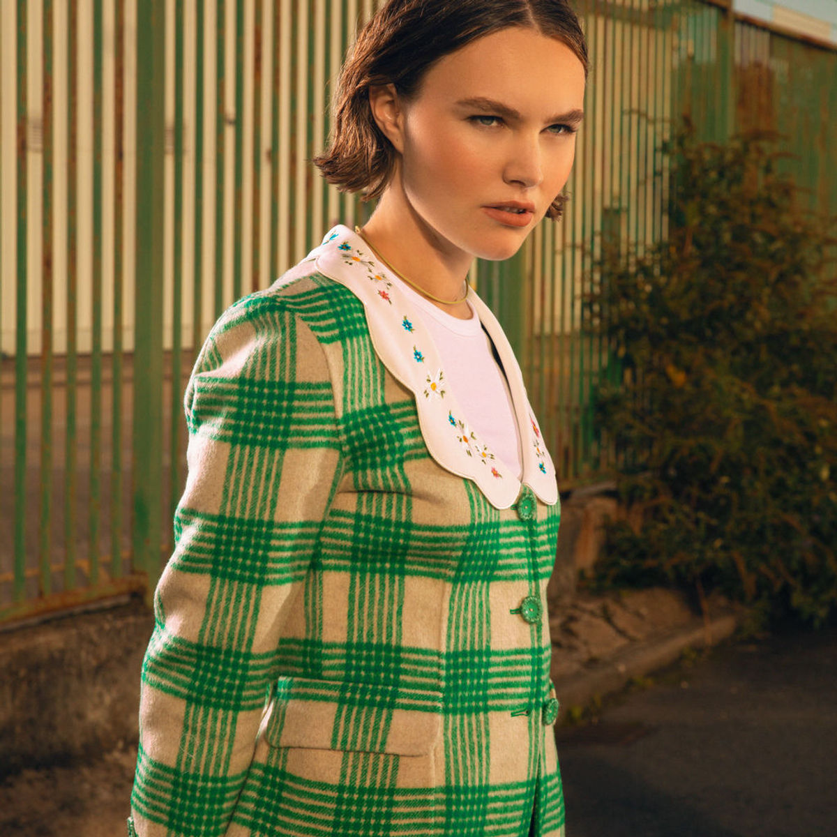 MOLI Songs streamen | RTL+