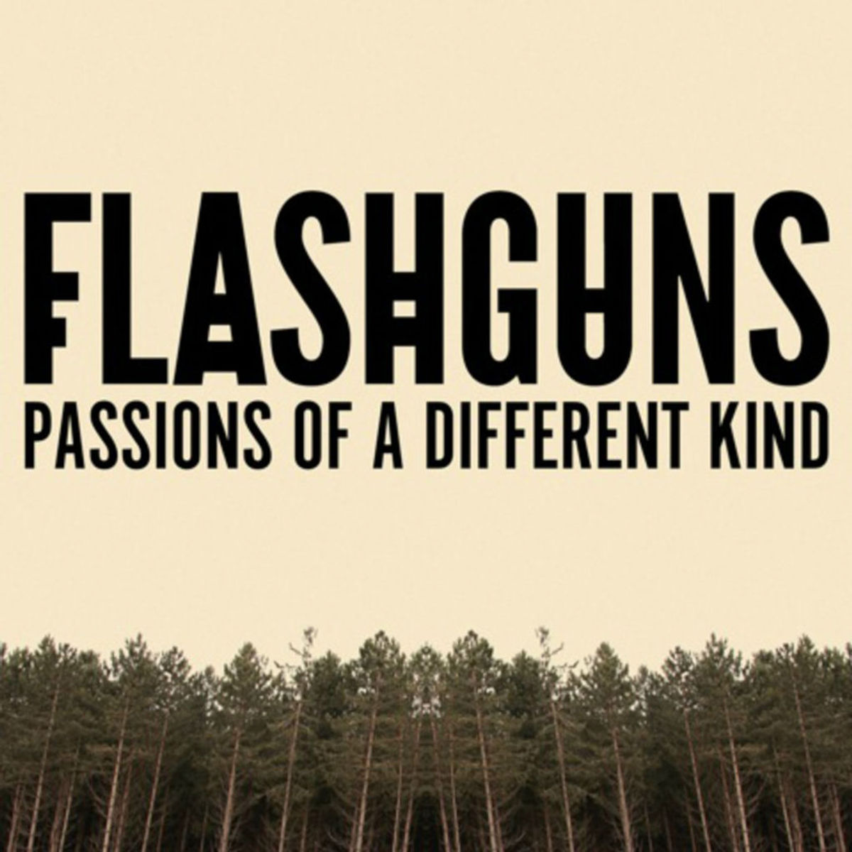 Flashguns Songs streamen | RTL+
