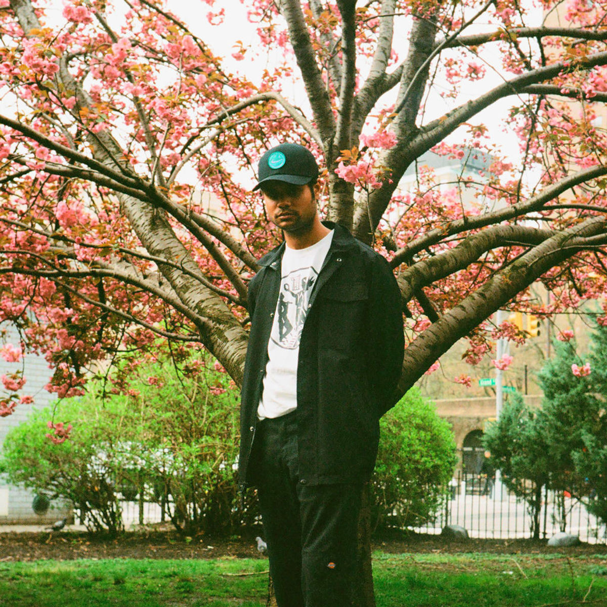 AceMo Songs streamen | RTL+