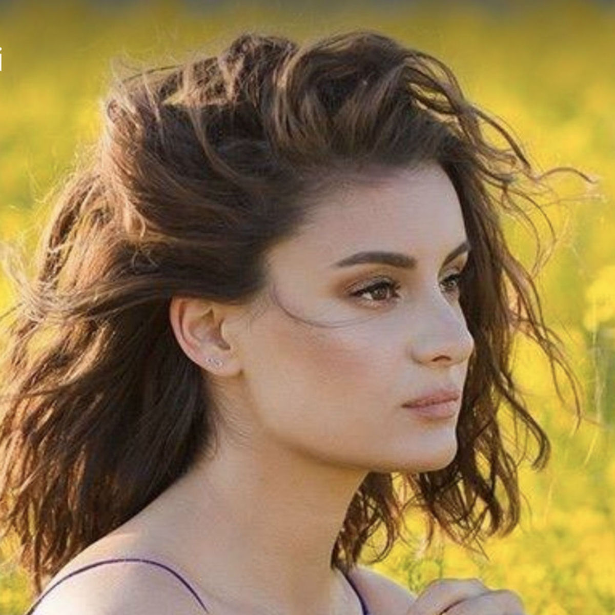 Atiye Songs streamen | RTL+