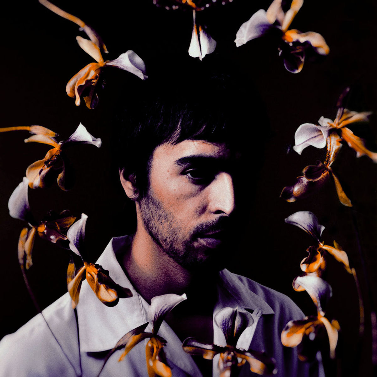 Trikk Songs streamen | RTL+