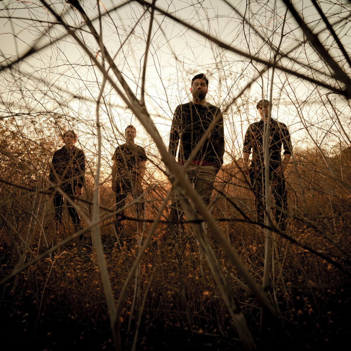 Palms Songs streamen | RTL+