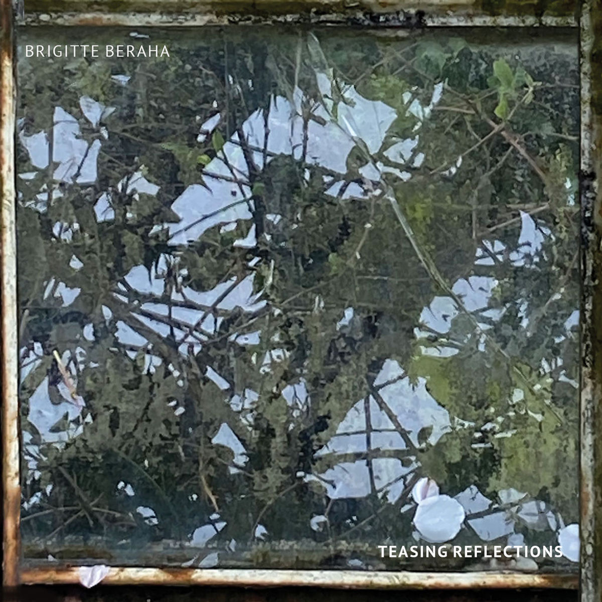 Teasing Reflections - Brigitte Beraha, George Crowley und Alcyona Mick ...