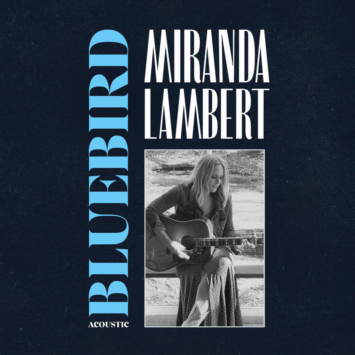 Bluebird (Acoustic) - Miranda Lambert (Single) | RTL+