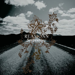 Reamonn Songs streamen | RTL+